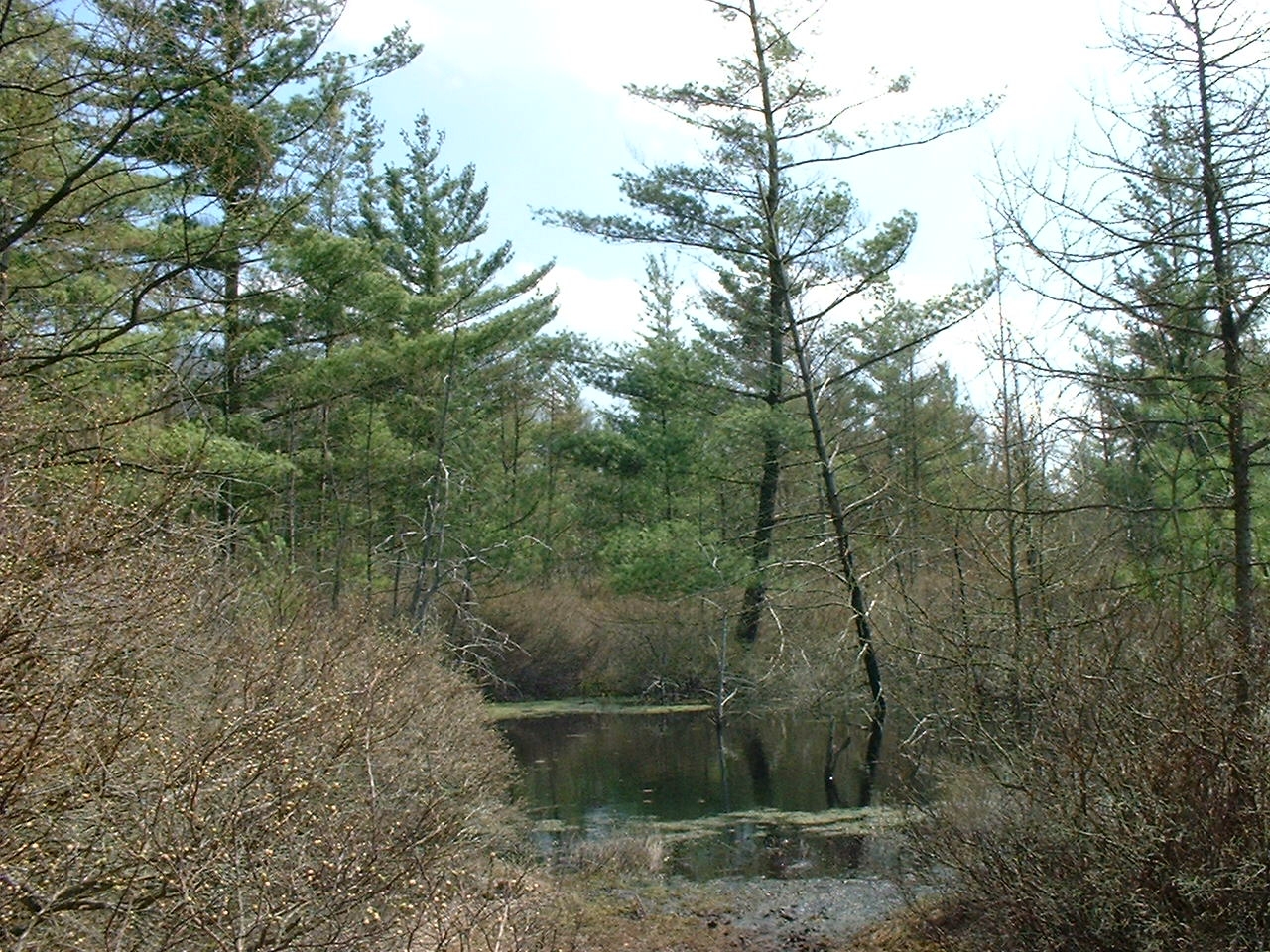 Photo Gallery (U.S. National Park Service)
