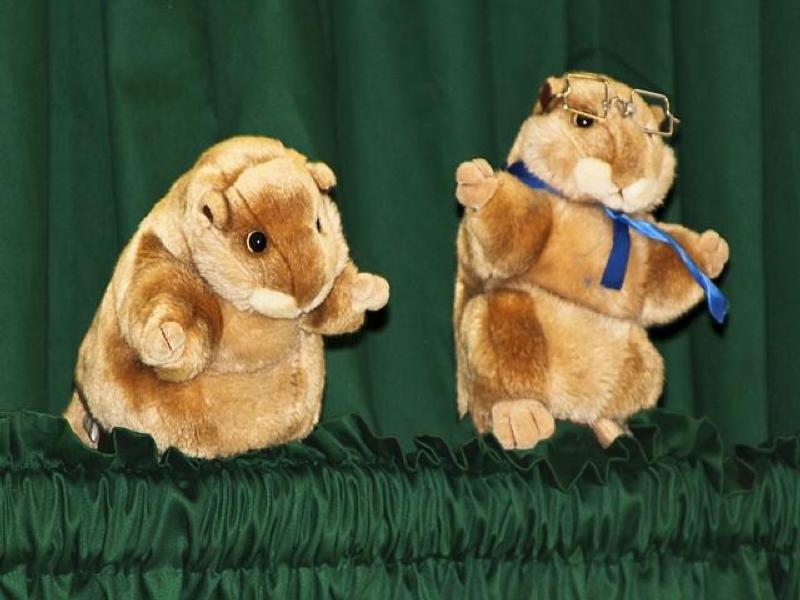 Photo Gallery (U.S. National Park Service)