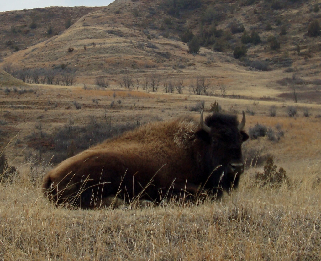Photo Gallery (U.S. National Park Service)