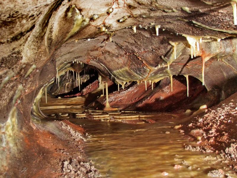 12 Bizarre Rooms At Wind Cave National Park Mental Floss