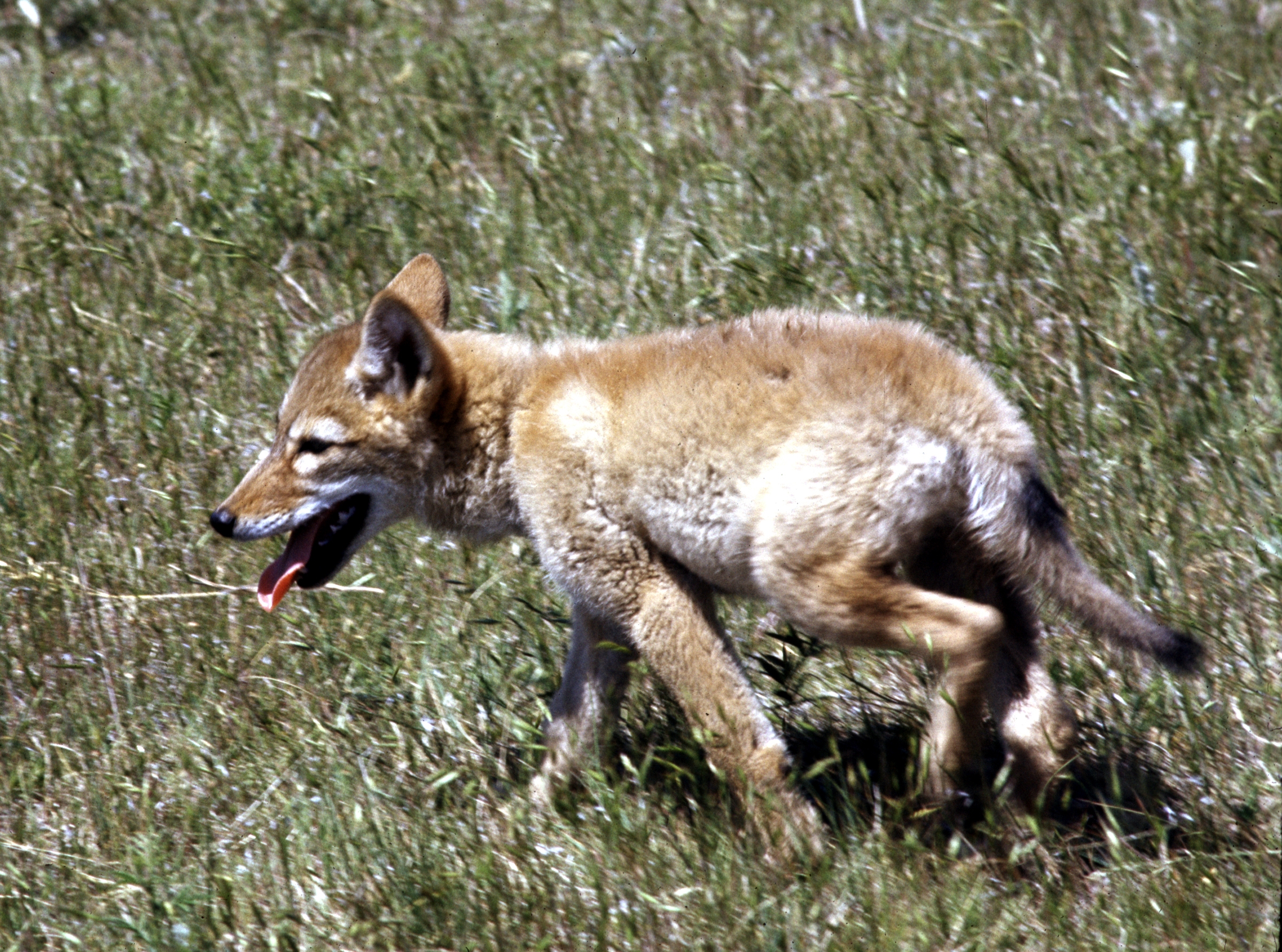 Photo Gallery (U.S. National Park Service)