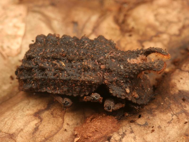 Photo Gallery (U.S. National Park Service)