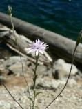 Photo Gallery (U.S. National Park Service)