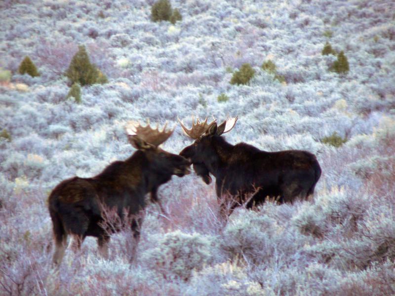 Photo Gallery (U.S. National Park Service)