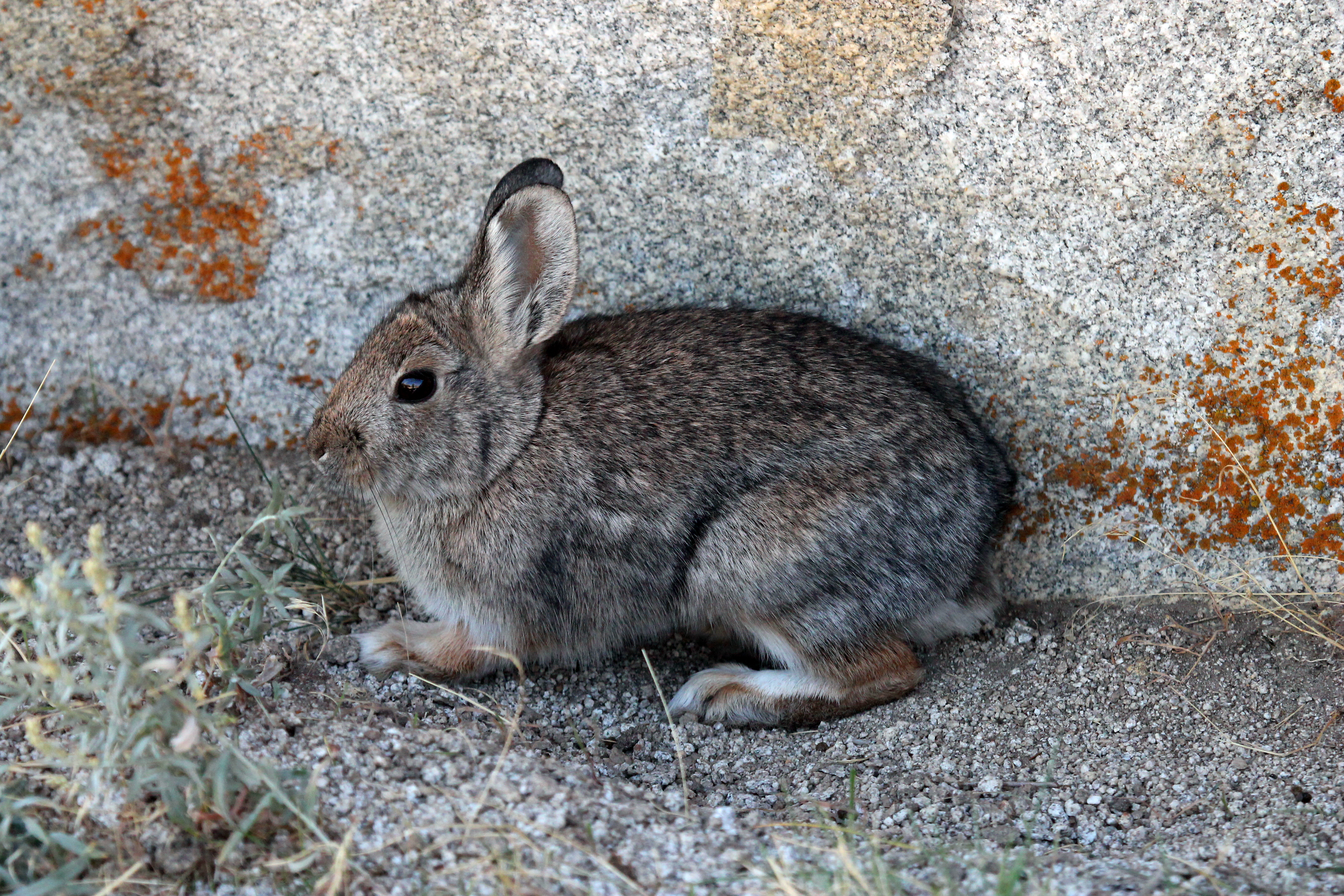 Photo Gallery (U.S. National Park Service)