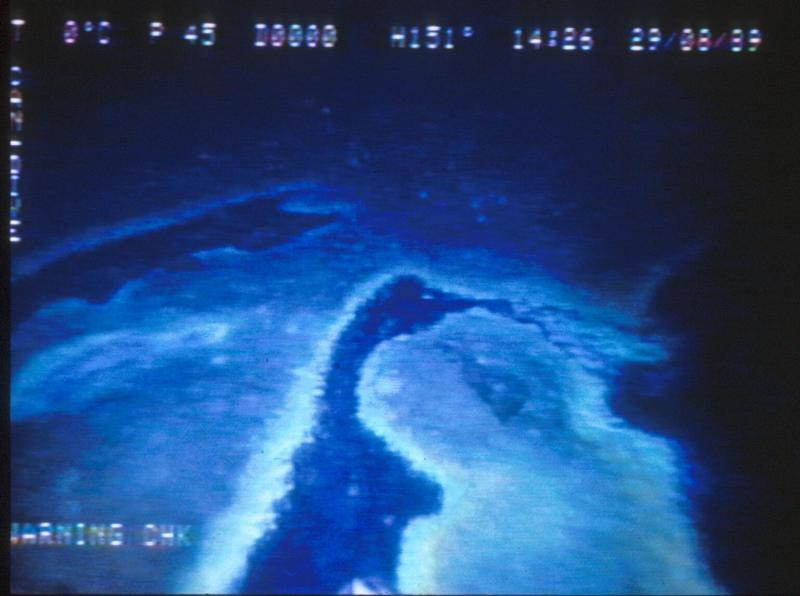 What Lives At The Bottom Of Crater Lake at Susan Pittman blog