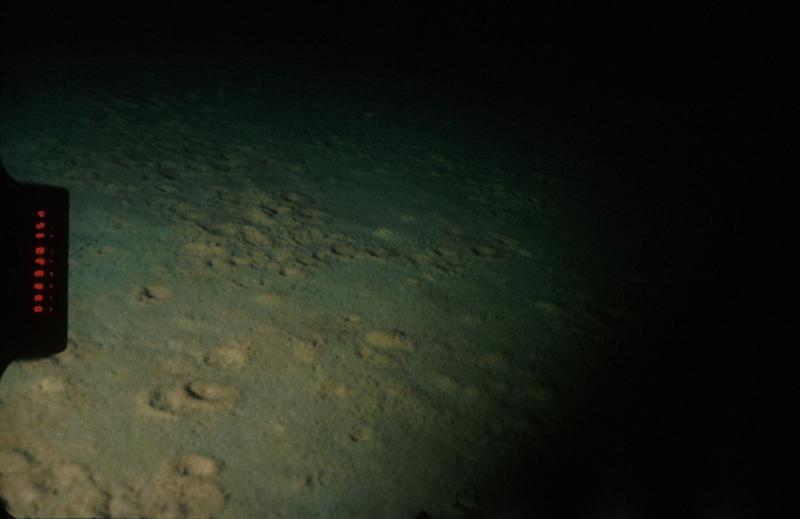 Photo Gallery (U.S. National Park Service)