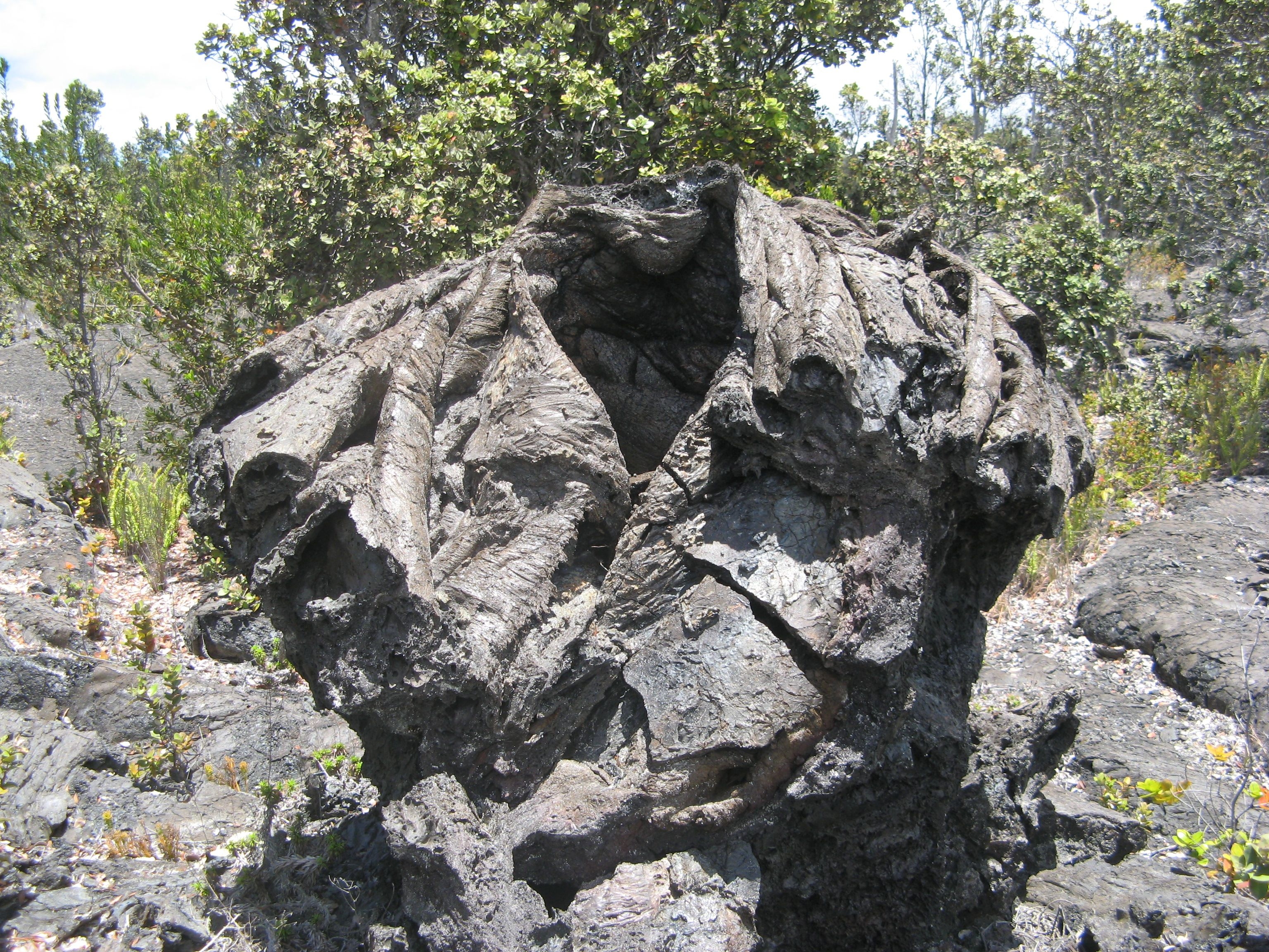 Photo Gallery (U.S. National Park Service)