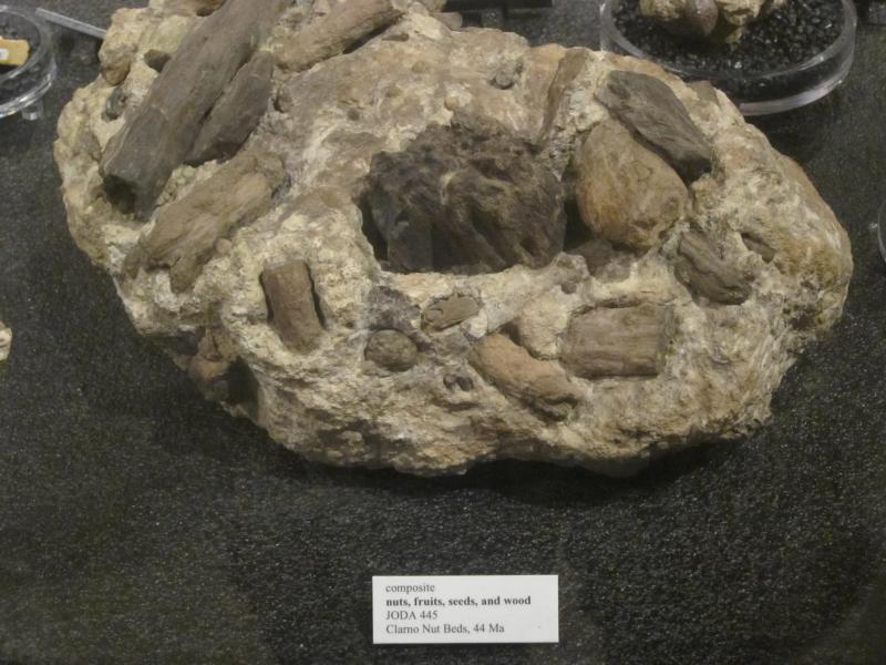 Photo Gallery (U.S. National Park Service)