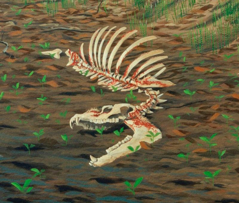 Photo Gallery (U.S. National Park Service)