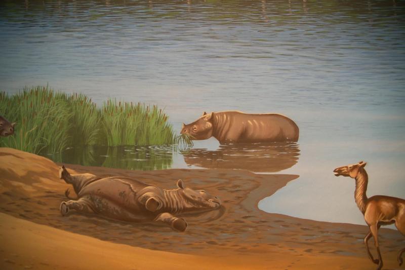 Photo Gallery (U.S. National Park Service)