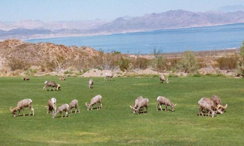 Photo Gallery (U.S. National Park Service)