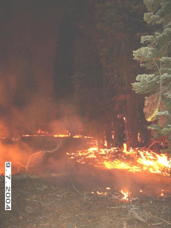 Photo (U.S. National Park Service)