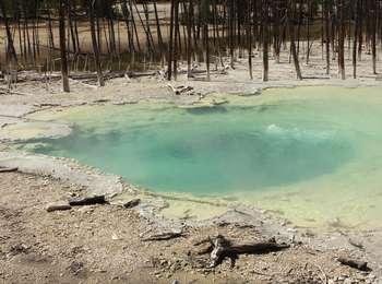 Cistern Spring (U.S. National Park Service)