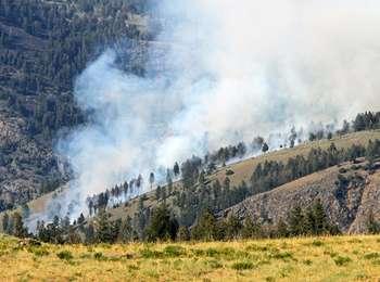 Fire is a Fundamental Force (U.S. National Park Service)