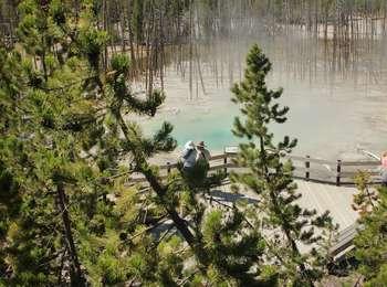 Norris Geyser Basin Trails (Cistern Spring Junction) (U.S. National ...