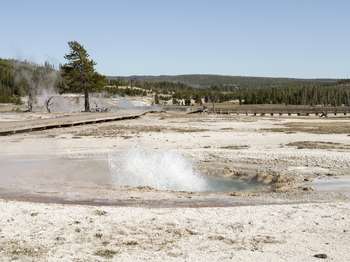 Mustard Spring (U.S. National Park Service)