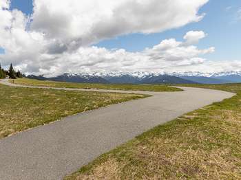 Meadow Loop Trailhead (U.S. National Park Service)