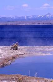 Surging Spring (U.S. National Park Service)