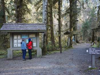 Hoh Visitor Center Mini-Trail Trailhead (U.S. National Park Service)