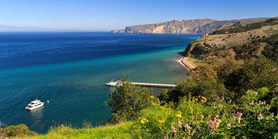 Get Involved - Channel Islands National Park (U.S. National Park Service)