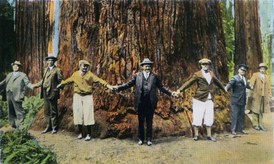 Then And Now - Protection and Restoration - Redwood National and State ...