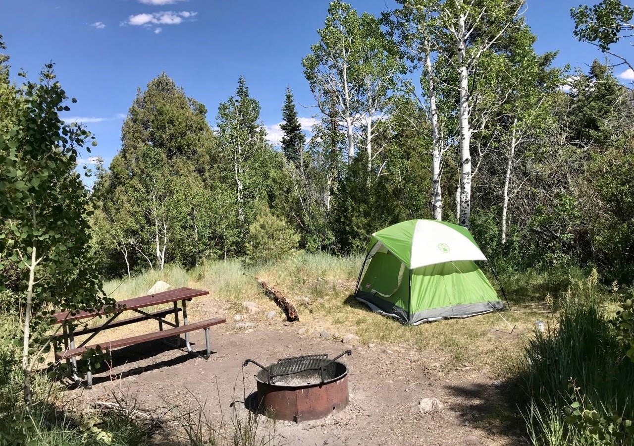 Mueller State Park Campsite Photos