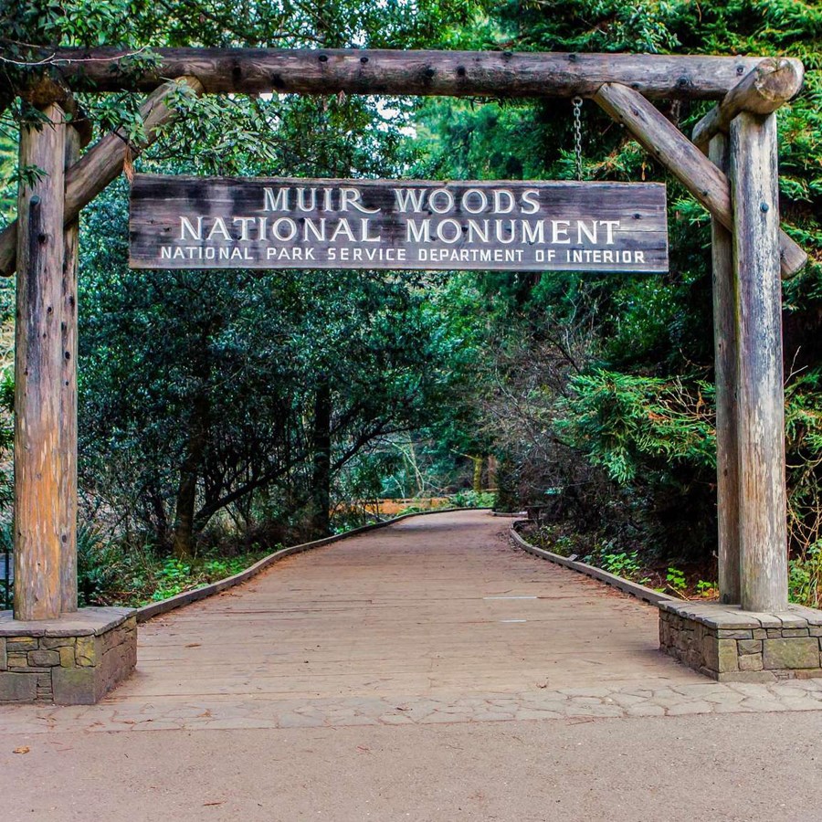 Muir Woods National Park