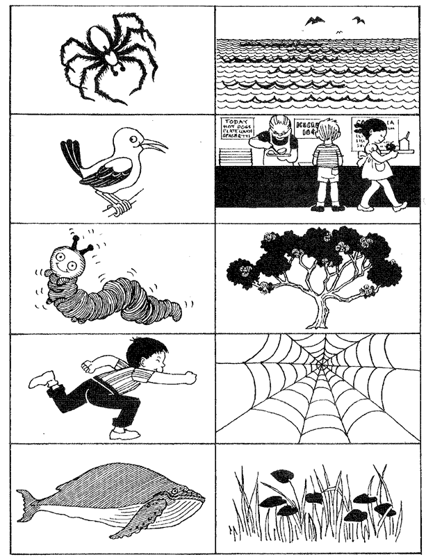 Food, Water, Shelter, Space - Teachers (U.S. National Park Service)