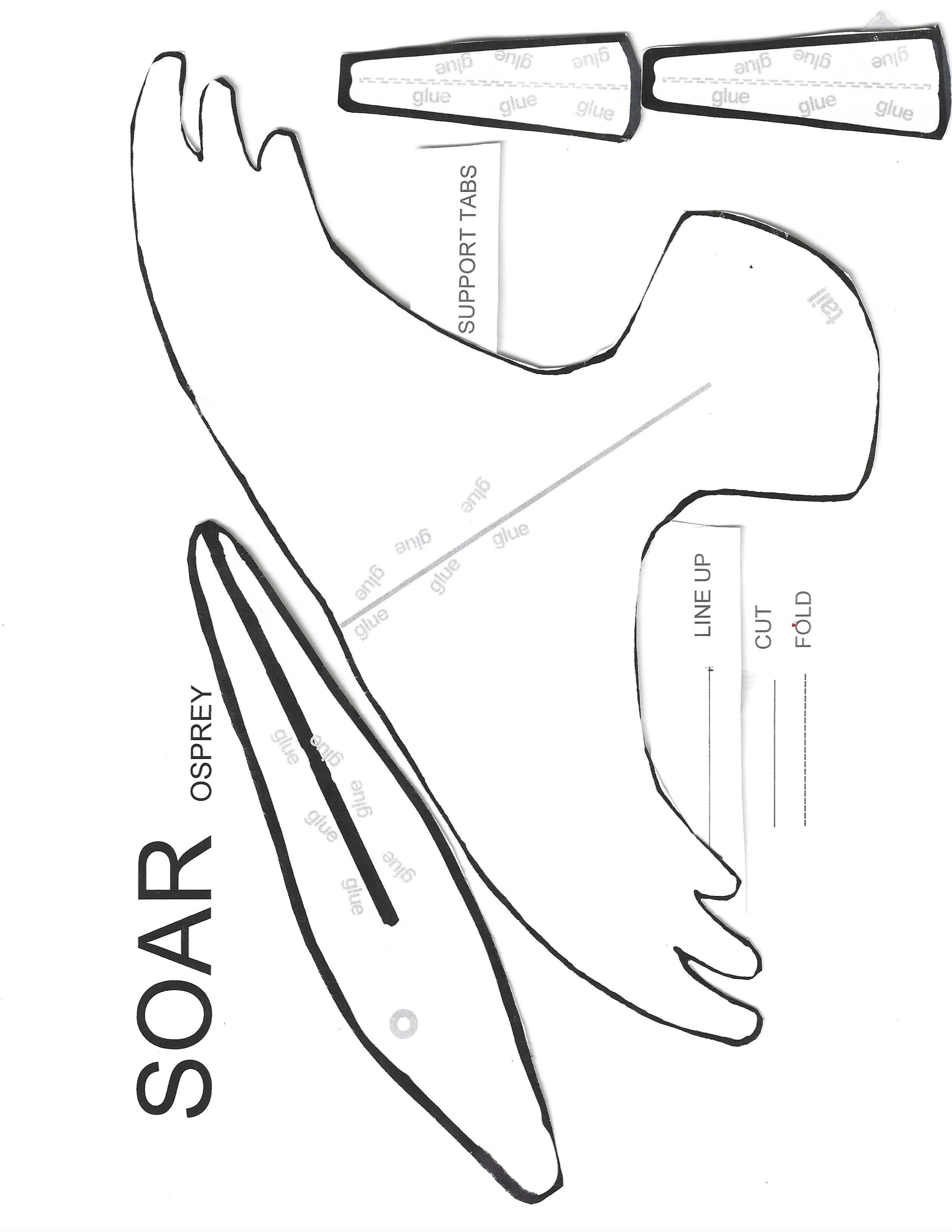 Bird Wing Template