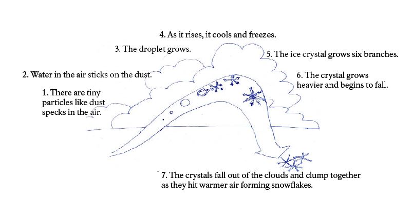 The Story of Snow - Teachers (U.S. National Park Service)