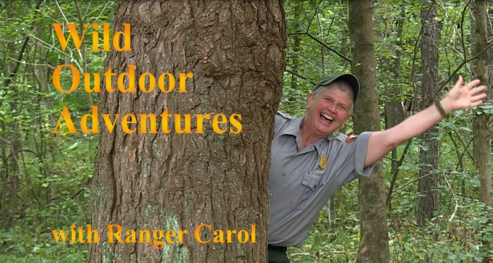 Wild Outdoor Adventures - Cumberland Gap National Historical Park (U.S ...