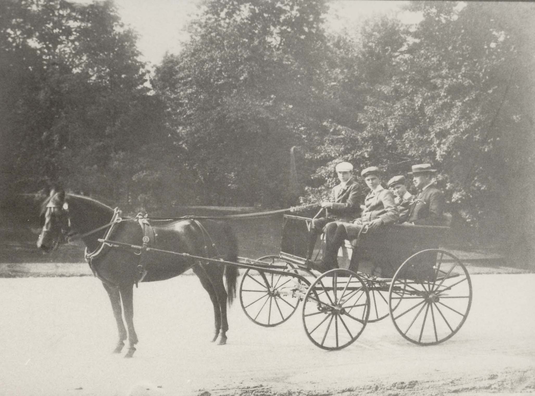 Horse Drawn Carriage 1700s