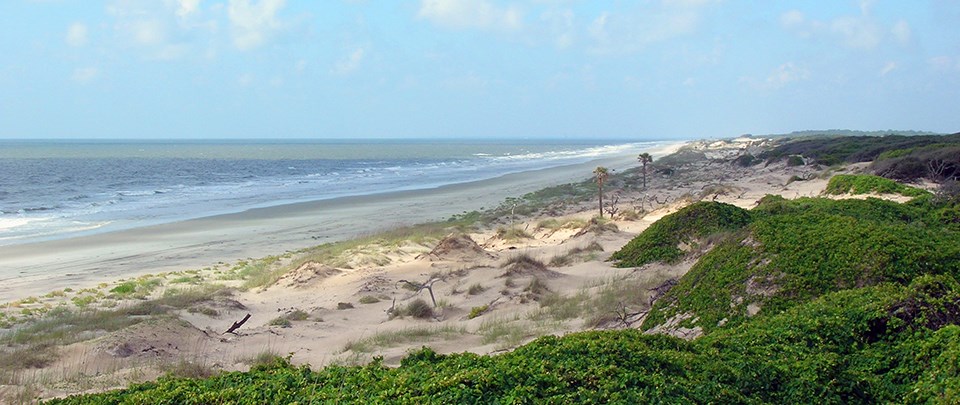 On Island - Cumberland Island National Seashore (U.S. National Park ...