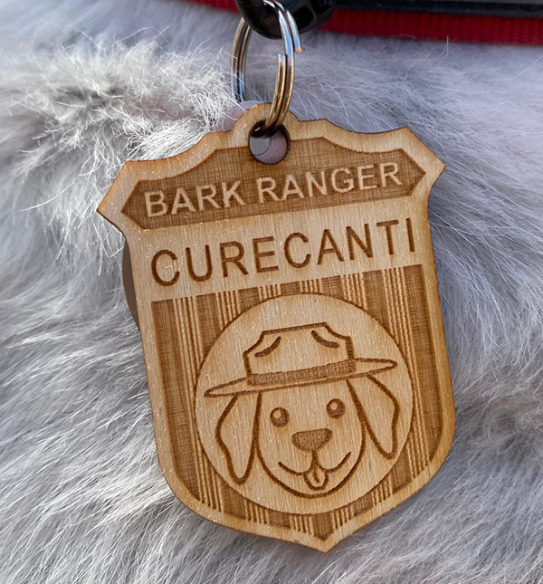 Pets at Curecanti - Curecanti National Recreation Area (U.S. National ...