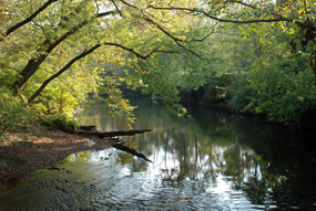 Exploring Park Ecosystems - Cuyahoga Valley National Park (U.S ...