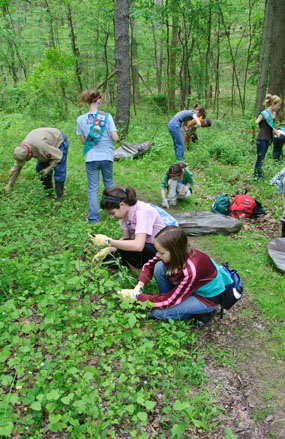 Exploring Park Ecosystems - Cuyahoga Valley National Park (U.S ...