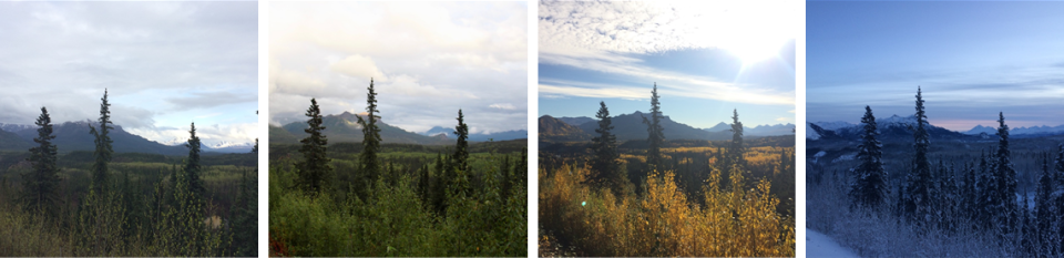 Online Junior Ranger: High Camp - Denali National Park & Preserve (U.S ...