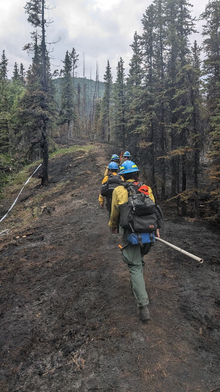 Wildland Fire in Denali National Park and Preserve - Denali National ...