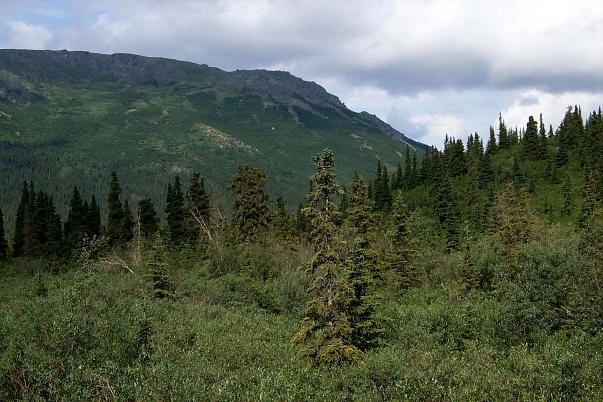 Unit 27: Mount Wright - Denali National Park & Preserve (U.S. National ...