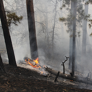 Wildland Fire - Devils Tower National Monument (U.S. National Park Service)