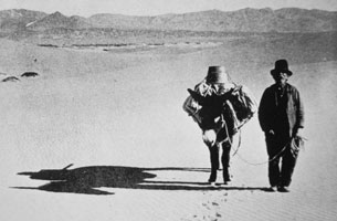 Shorty Starts Biggest Gold Rush in Death Valley History | Symon Sez