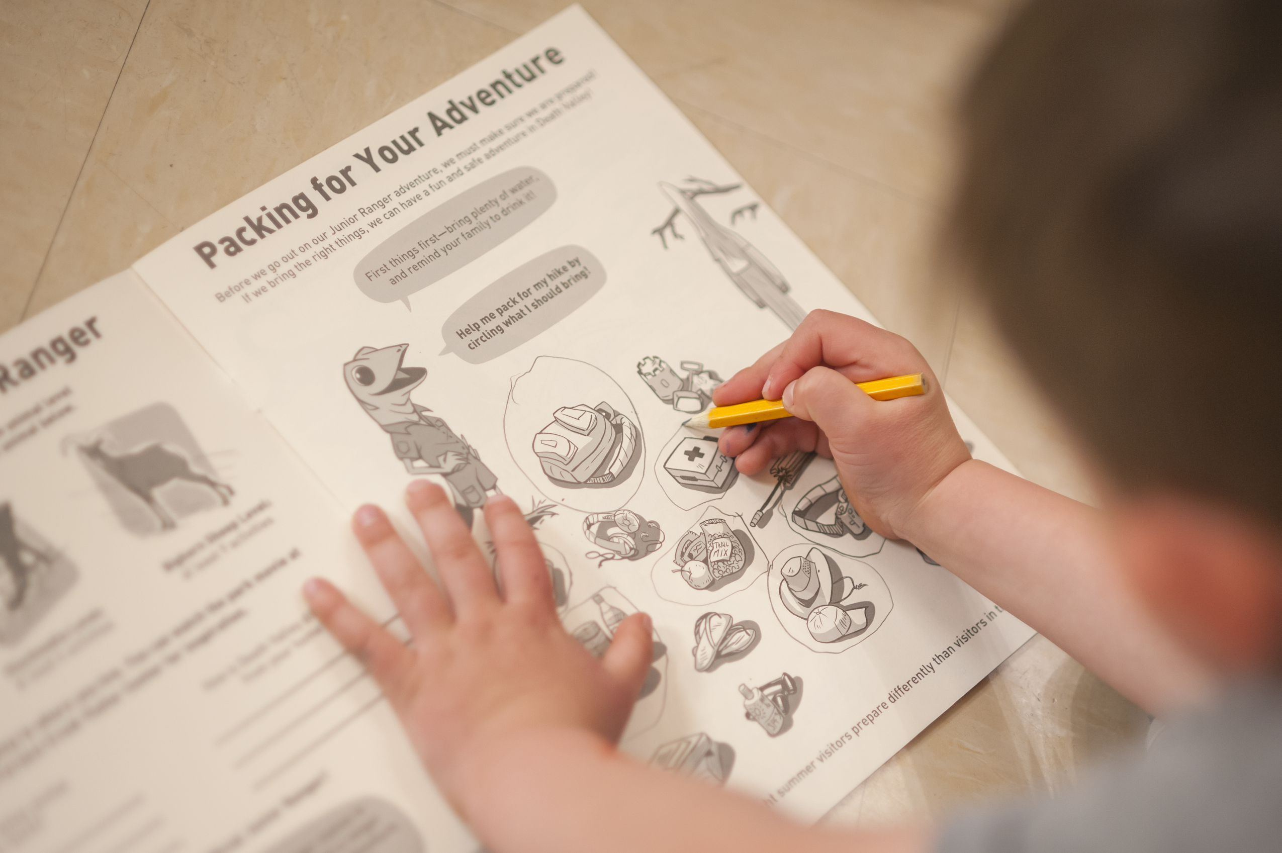 Junior Ranger - Death Valley National Park (U.S. National Park Service)