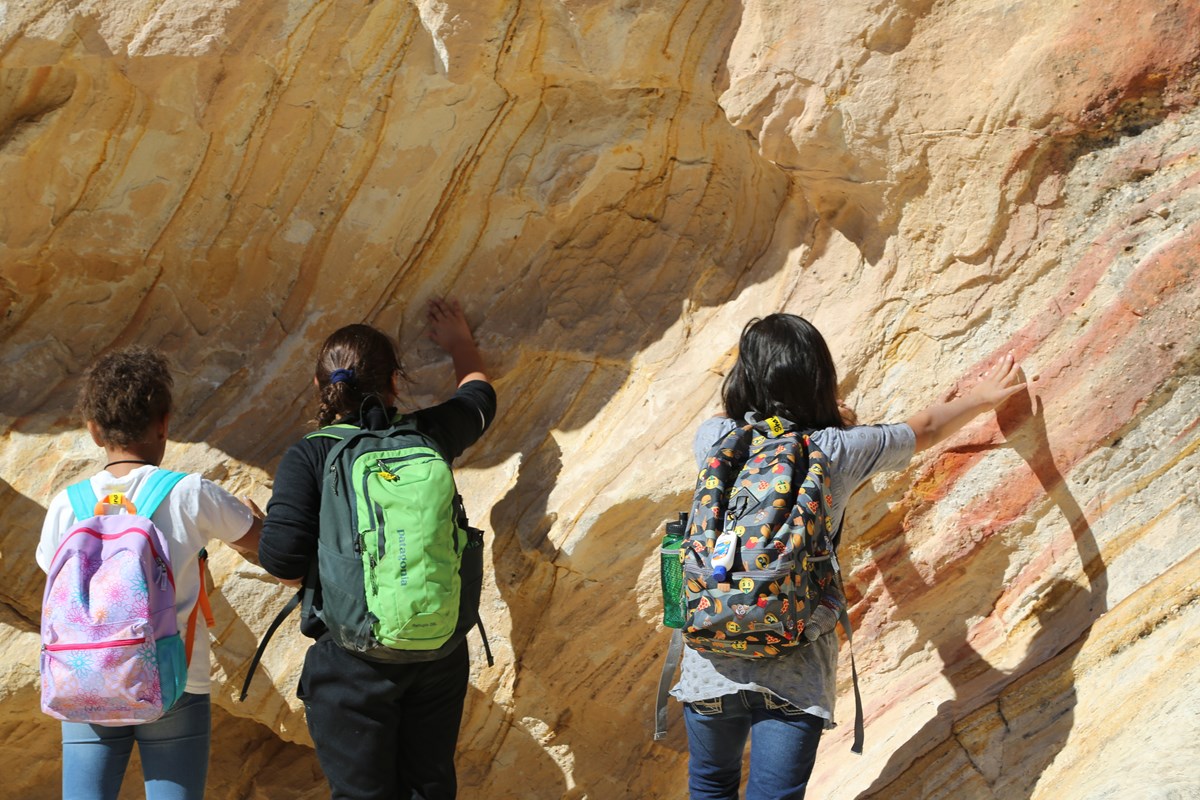 Plan A Field Trip - Dinosaur National Monument (U.S. National Park Service)