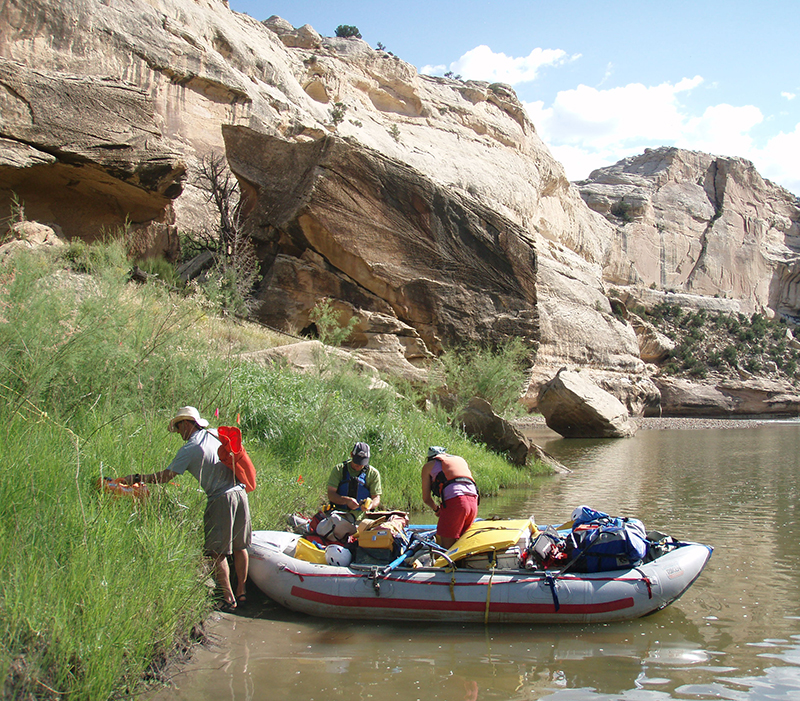 Science & Research - Dinosaur National Monument (U.S. National Park ...