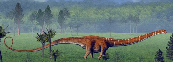 Barosaurus lentus - Dinosaur National Monument (U.S. National Park Service)