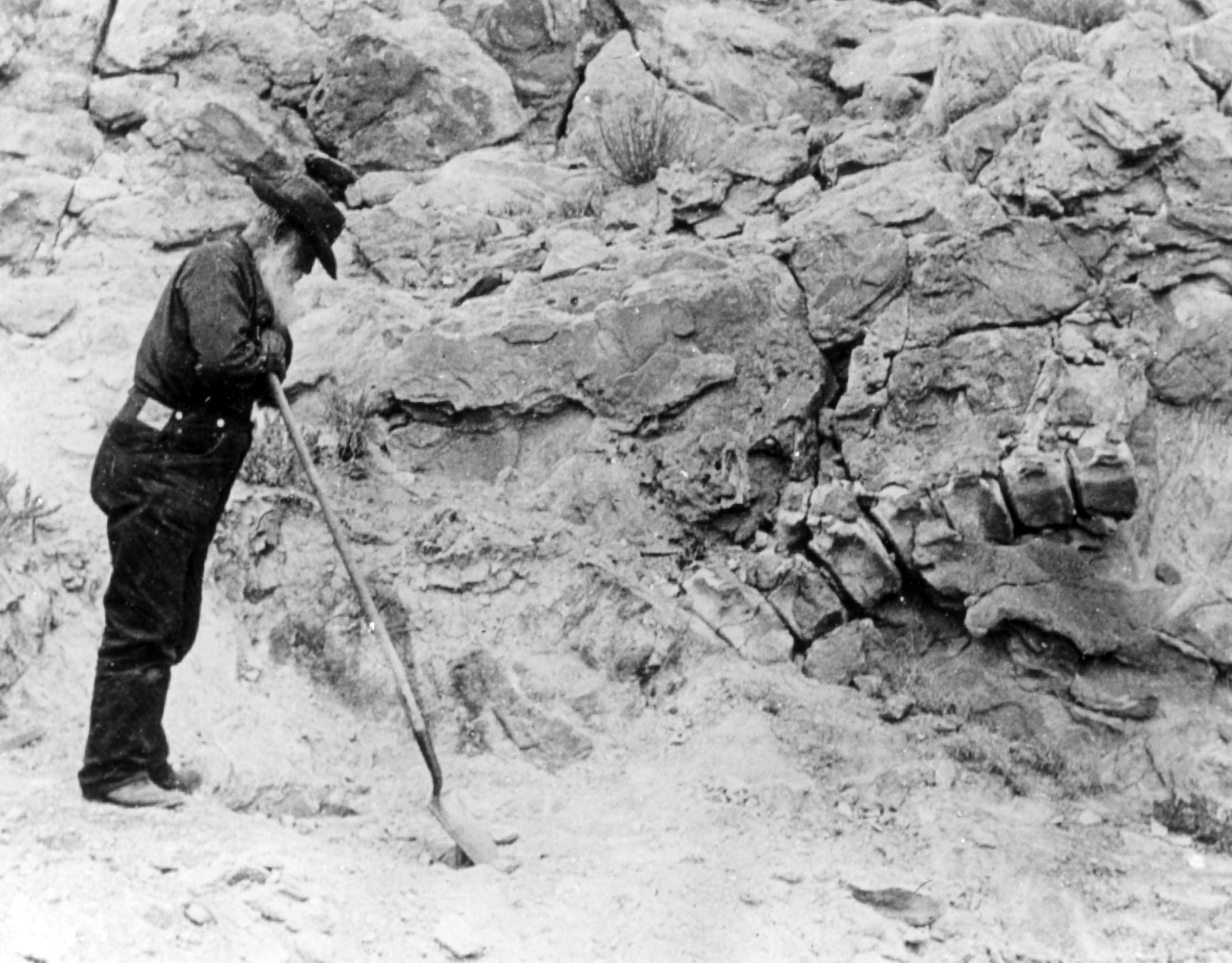 Historic Carnegie Quarry - Dinosaur National Monument (U.S. National ...