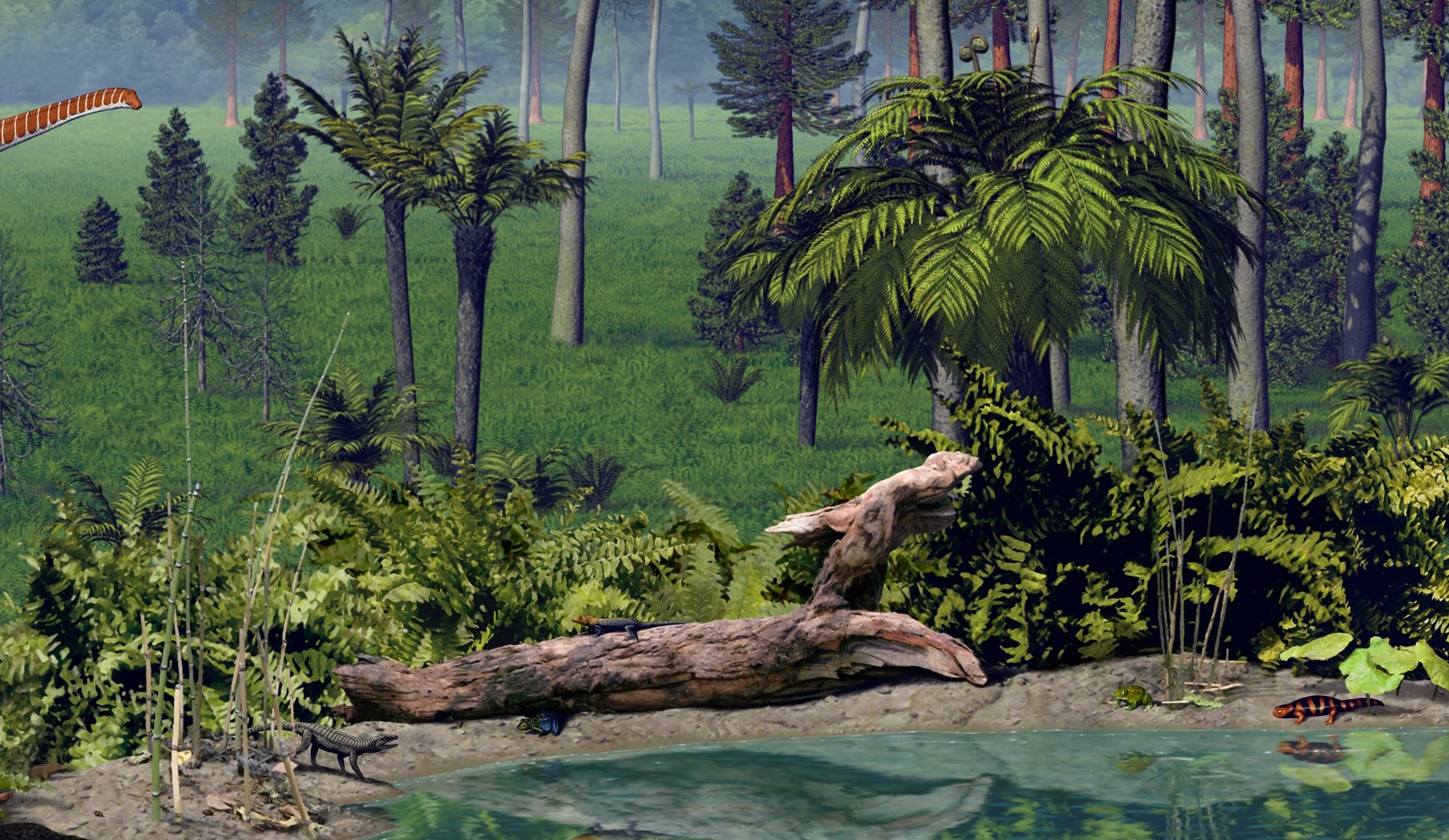 Jurassic Period Plants