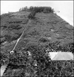 Loggerhead Key Restoration - Dry Tortugas National Park (U.S. National ...