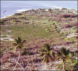 Loggerhead Key Restoration - Dry Tortugas National Park (U.S. National ...